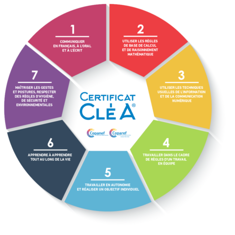 Formation diplômante Certificat de connaissances et compétences ...